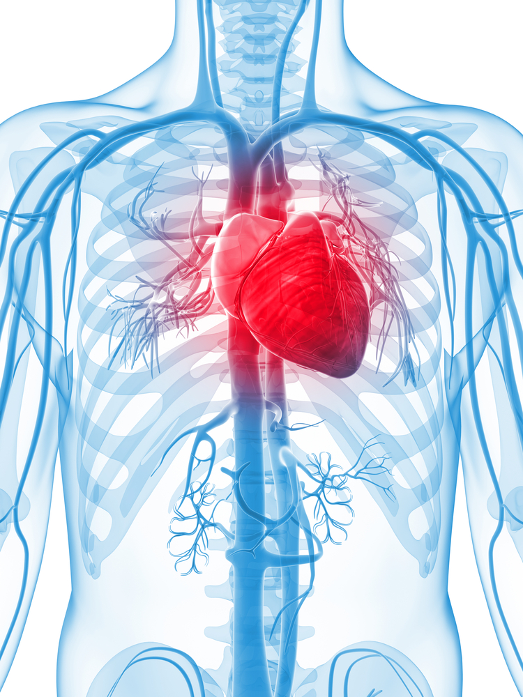 Rehabilitación Cardiaca – Dr. Rodrigo Vilches Aranguren